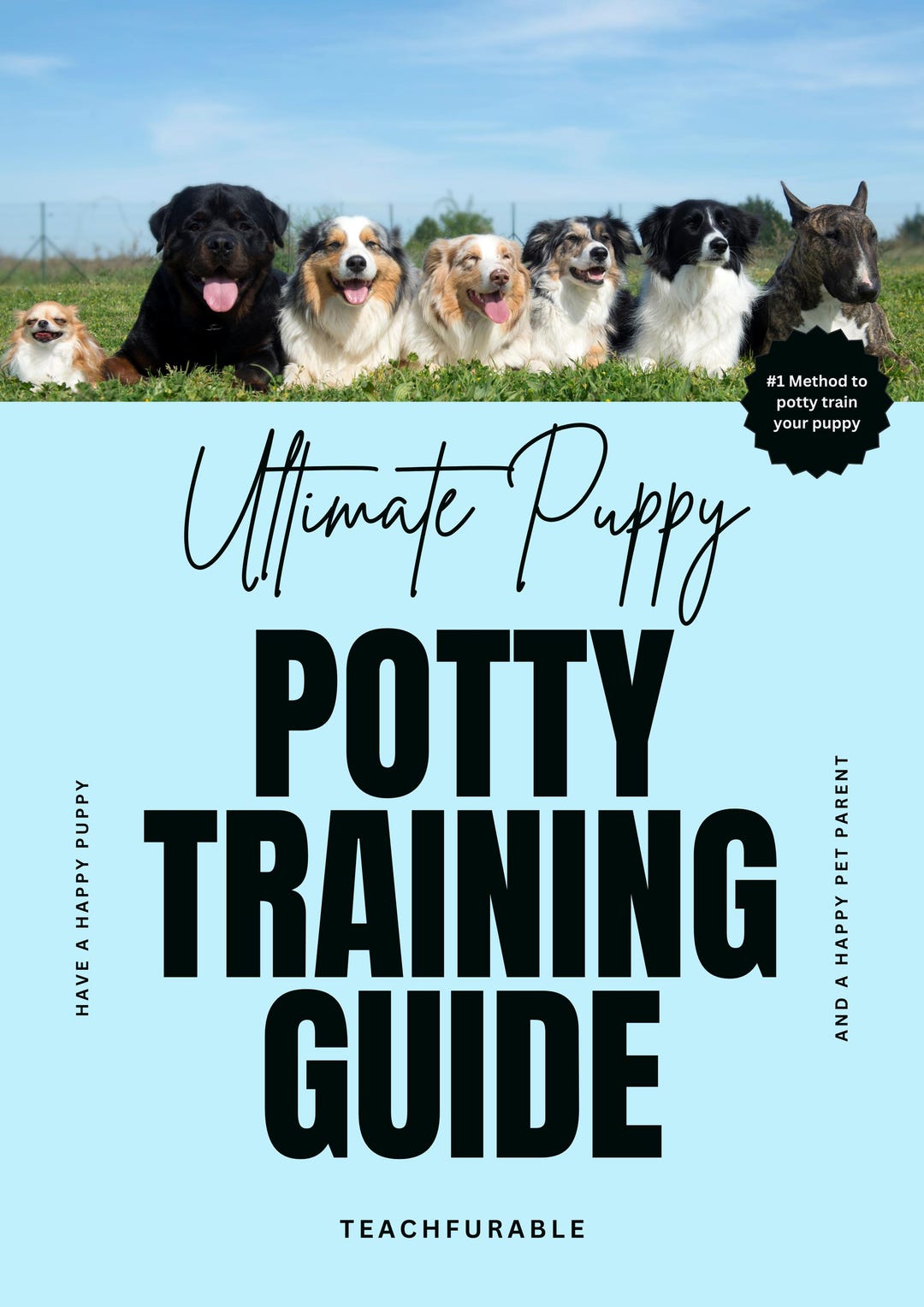 Ultimate Puppy Potty Training Schedule Guide - Etsy