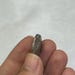 Collectible Ancient Roman Greek Silver Coated Athena Attica Owl Unique ...