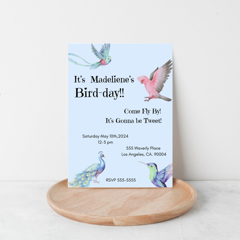 Bird Theme Birthday - Etsy
