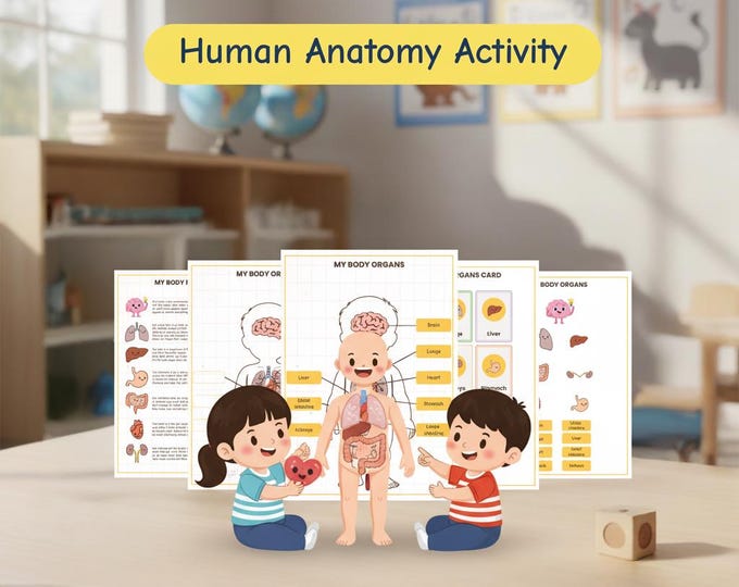 Anatomy Game, Printable Human Body Preschool Activity, About Me Kids ...