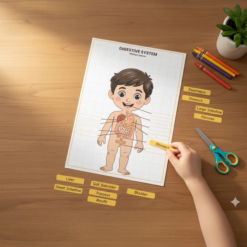 Digestive System Cut and Paste Activity & Poop Chart for Preschool - Etsy