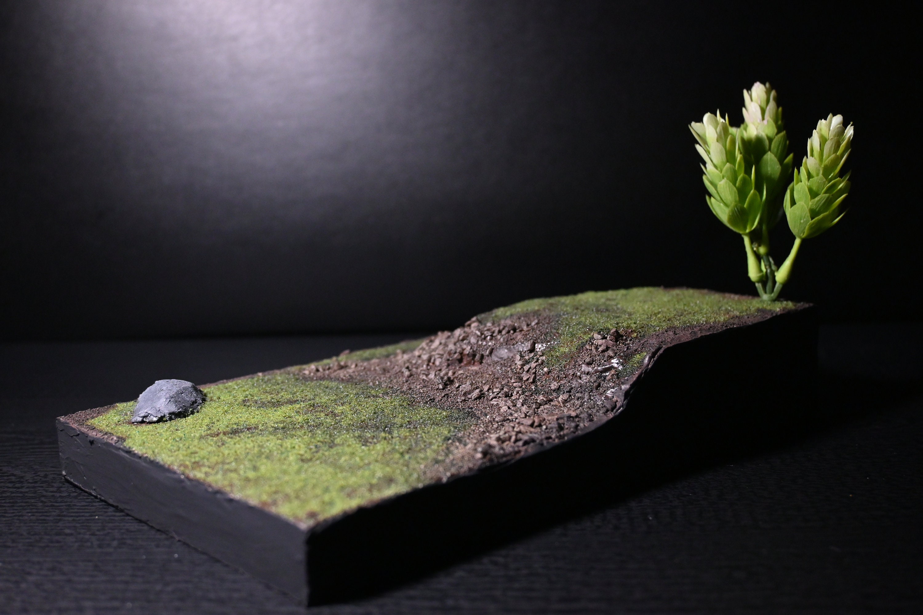 Small Hill Earth Diorama Display Base - Etsy