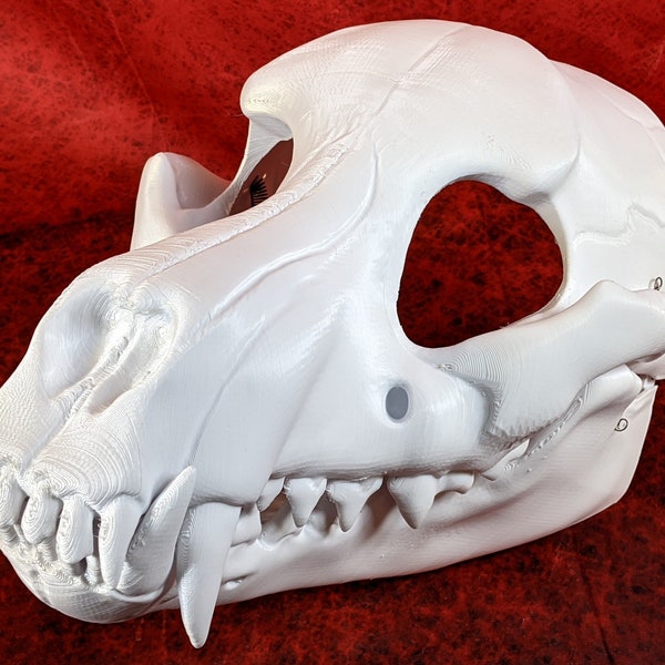 Skull Dog Mask Furry - Etsy