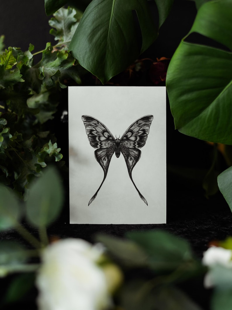 Moon Moth Illustration Gothic Print - Witchy Entomology Art - Dark ...