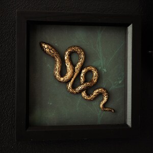 Green Gold Floral Snake Frame Wall Hanging Gothic Home Decor Witchy ...