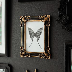 Moon Moth Illustration Gothic Print - Witchy Entomology Art - Dark ...