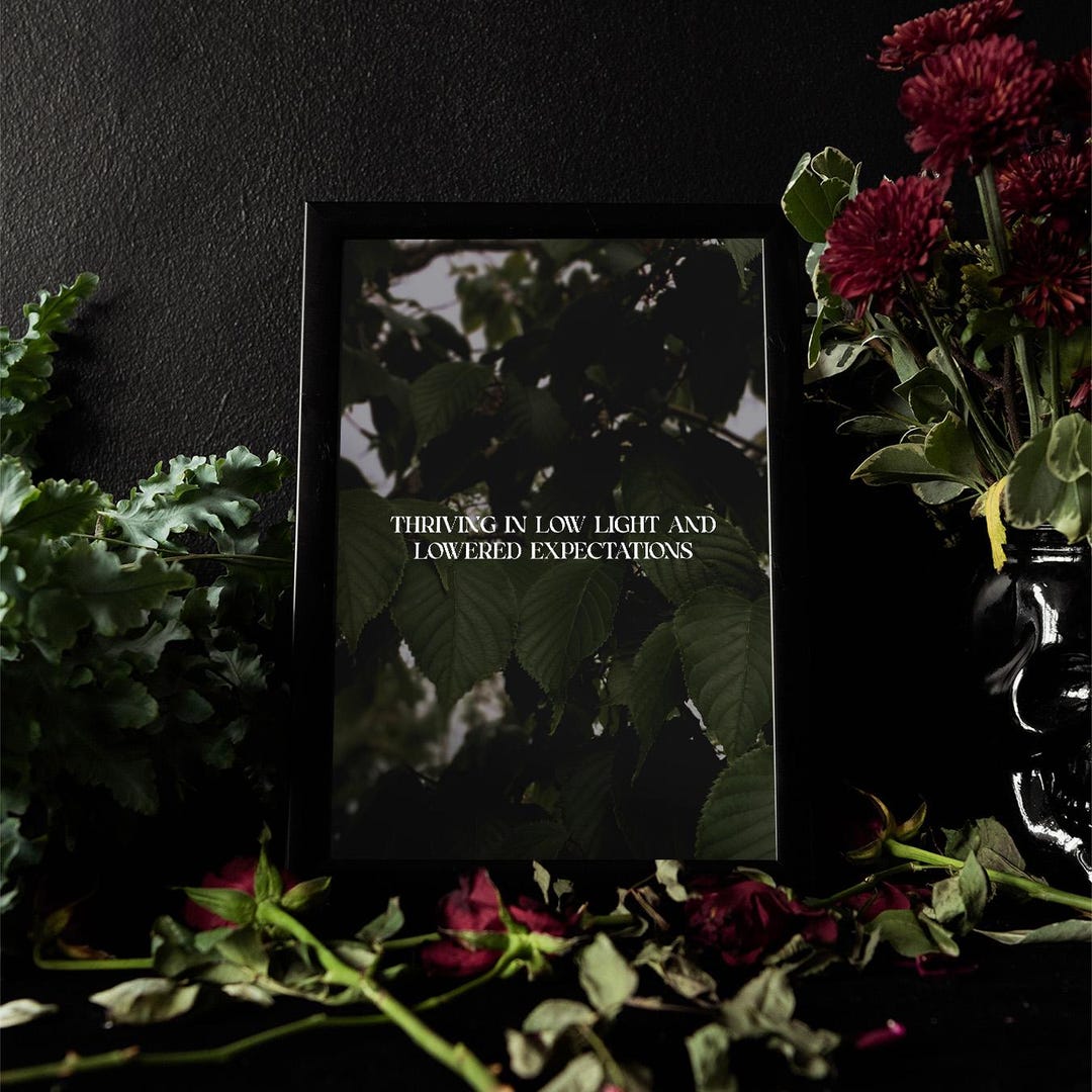 Thriving in Low Light Leafy Quote Print | Deadpan Humour | Gothic Moody ...