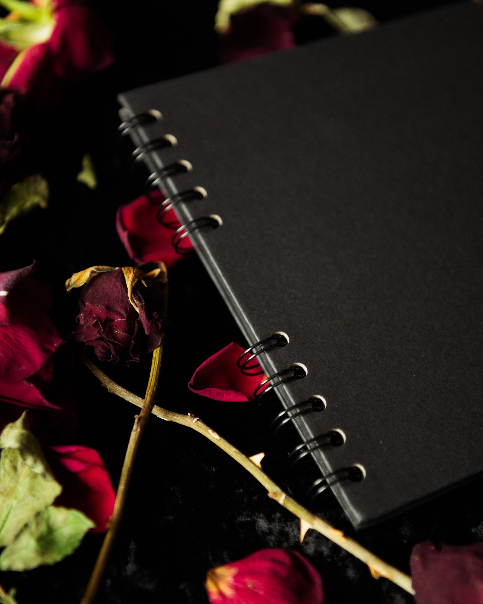 Personalised Gothic Scrapbook / Alternative Photo Album With Hardback ...