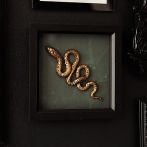 Green Gold Floral Snake Frame Wall Hanging Gothic Home Decor Witchy ...