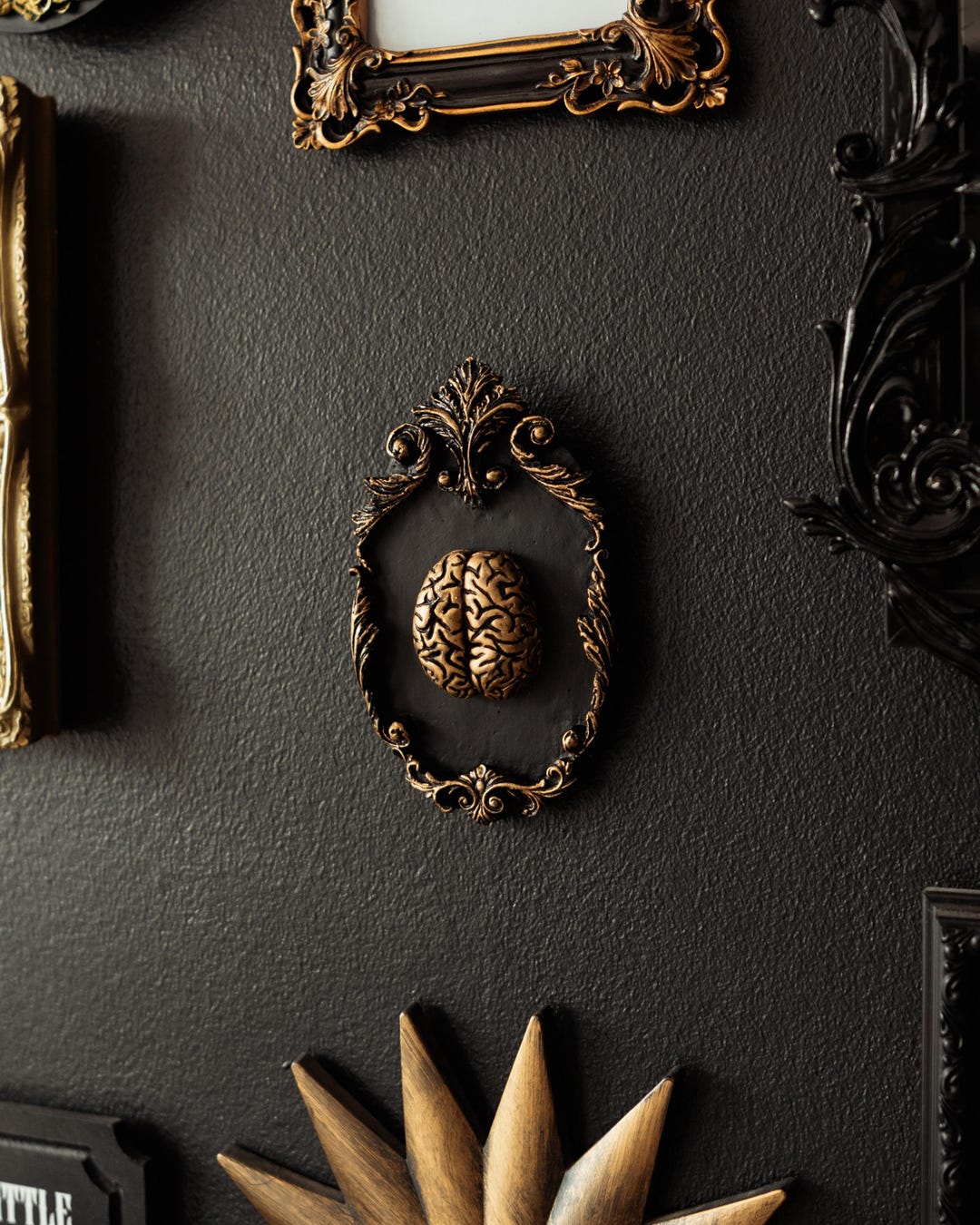Ornate Brain Wall Plaque / Macabre Gothic Wall Decor / Handmade Anatomy ...