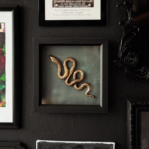 Green Gold Floral Snake Frame Wall Hanging Gothic Home Decor Witchy ...