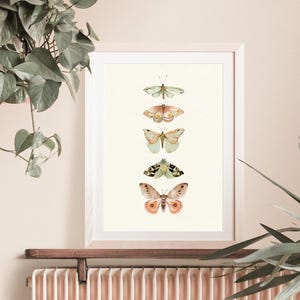 Boho Butterfly Poster Neutral Butterflies Vintage Girl Wall Art Print ...
