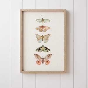 Boho Butterfly Poster Neutral Butterflies Vintage Girl Wall Art Print ...