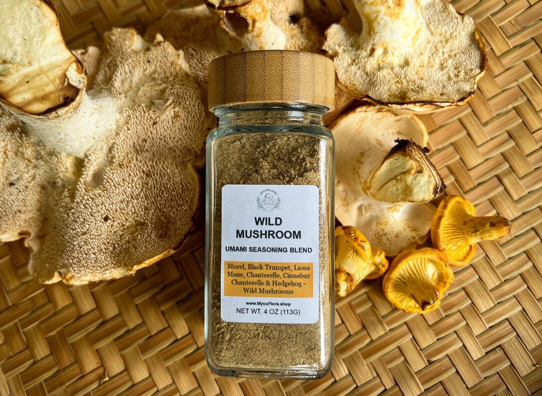 Mushroom Seasoning: Wild Foraged Mushrooms, Umami Spice - Etsy