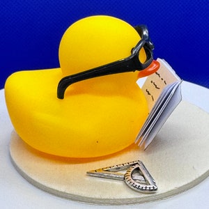 Studying Student Duck - Etsy