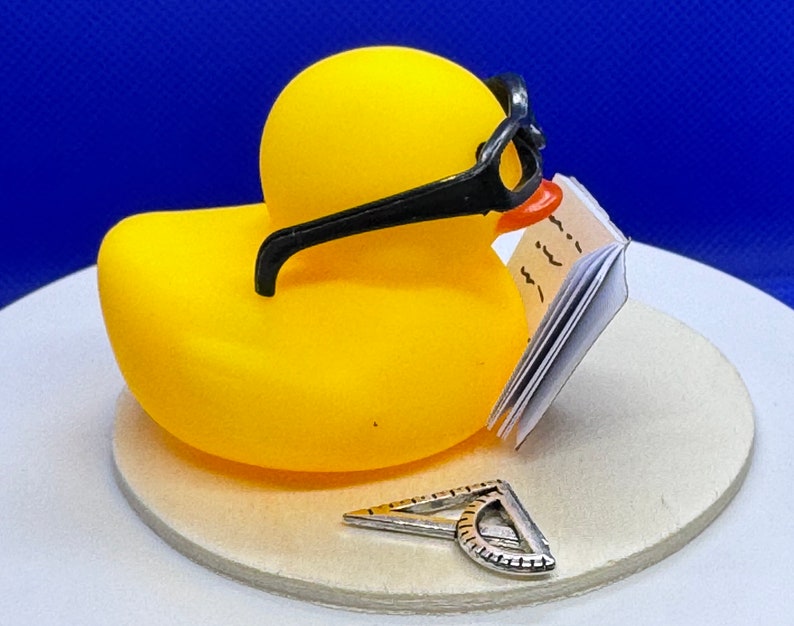 Studying Student Duck - Etsy