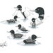 Common Loon Collection Print - Etsy