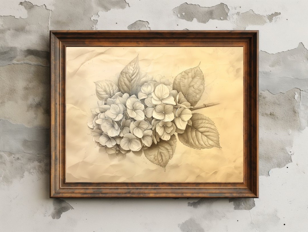 Minimalistic Pencil Drawing of Hydrangeas, Digital Print, Wall Art - Etsy