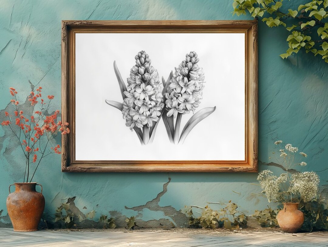 Pencil Drawing of Hyacinths, Digital Print, Wall Art - Etsy