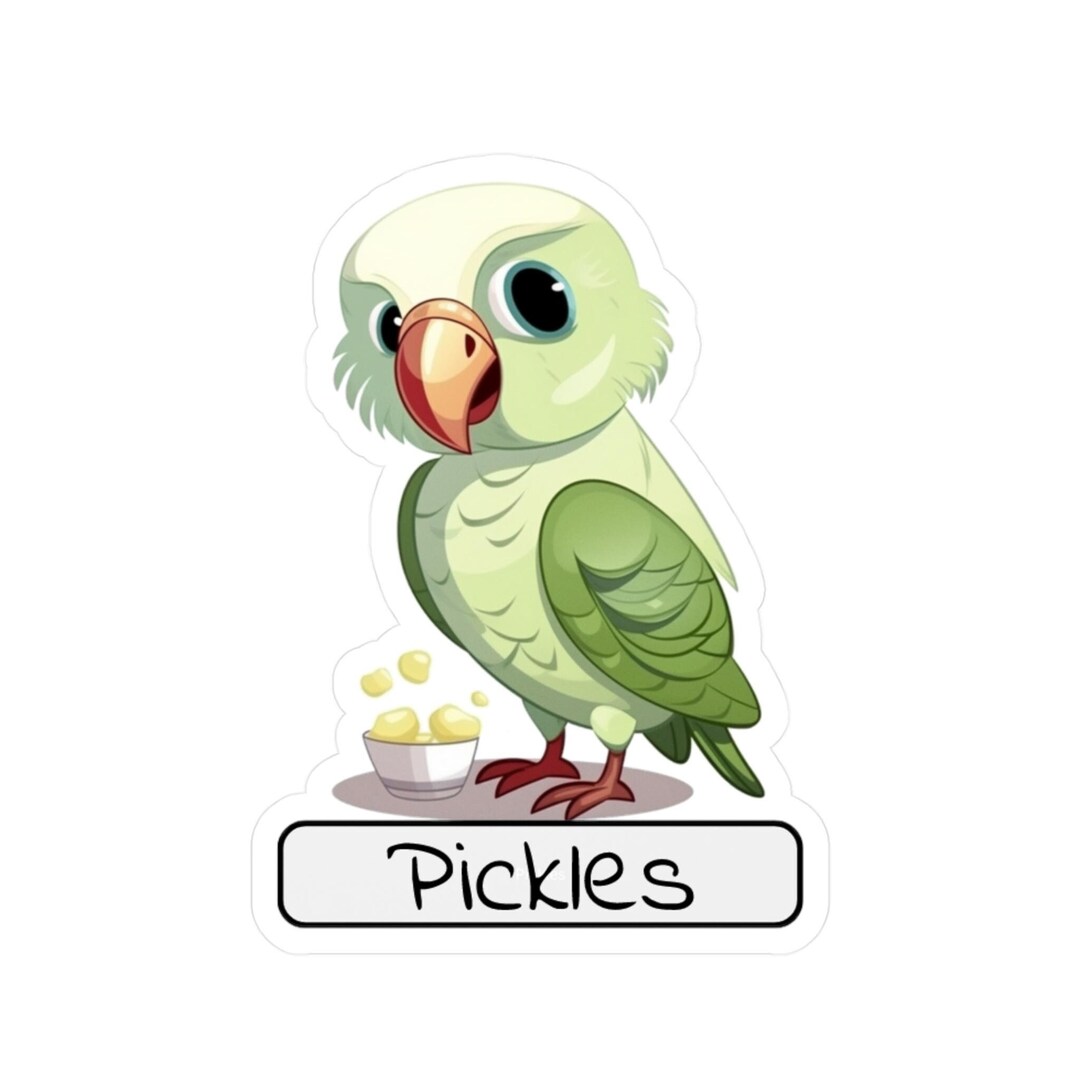Personalized Quaker Parrot Cartoon Vinyl Decal: Bird Lover Gift - Etsy