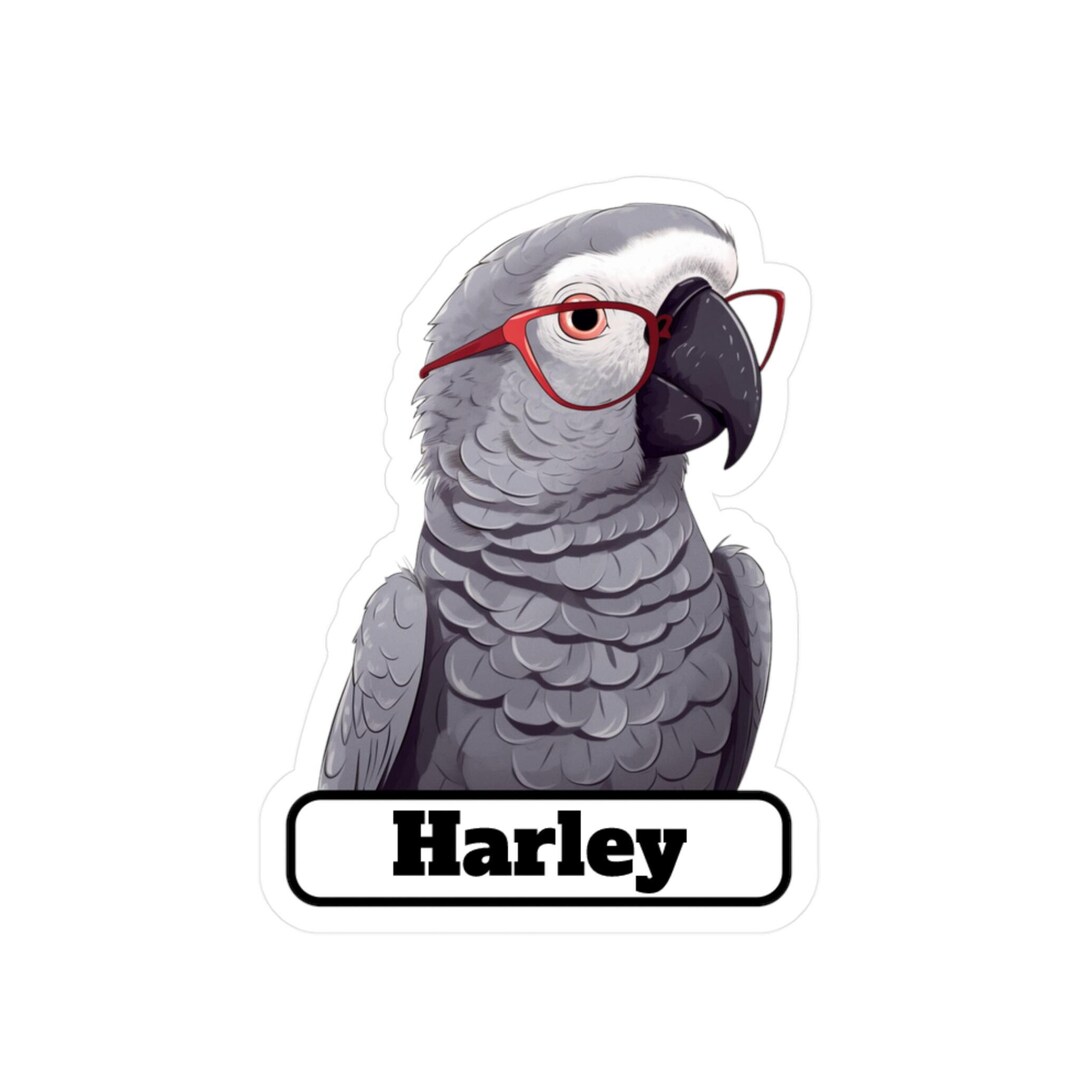 African Grey Parrot Cartoon Vinyl Decal: Smart Bird Sticker - Etsy
