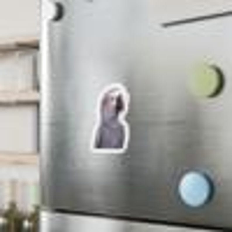 African Grey Parrot Cartoon Vinyl Decal: Smart Bird Sticker - Etsy