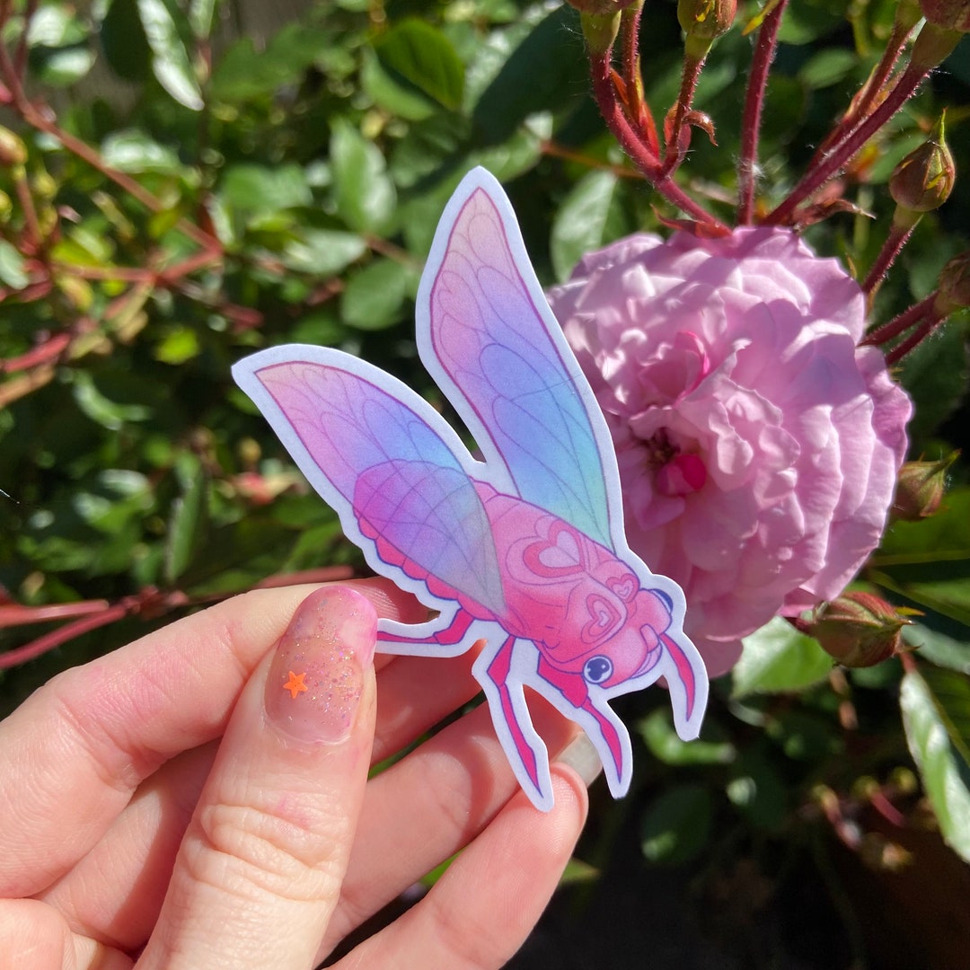 Rainbow Cicada Lovebug Sticker - Etsy