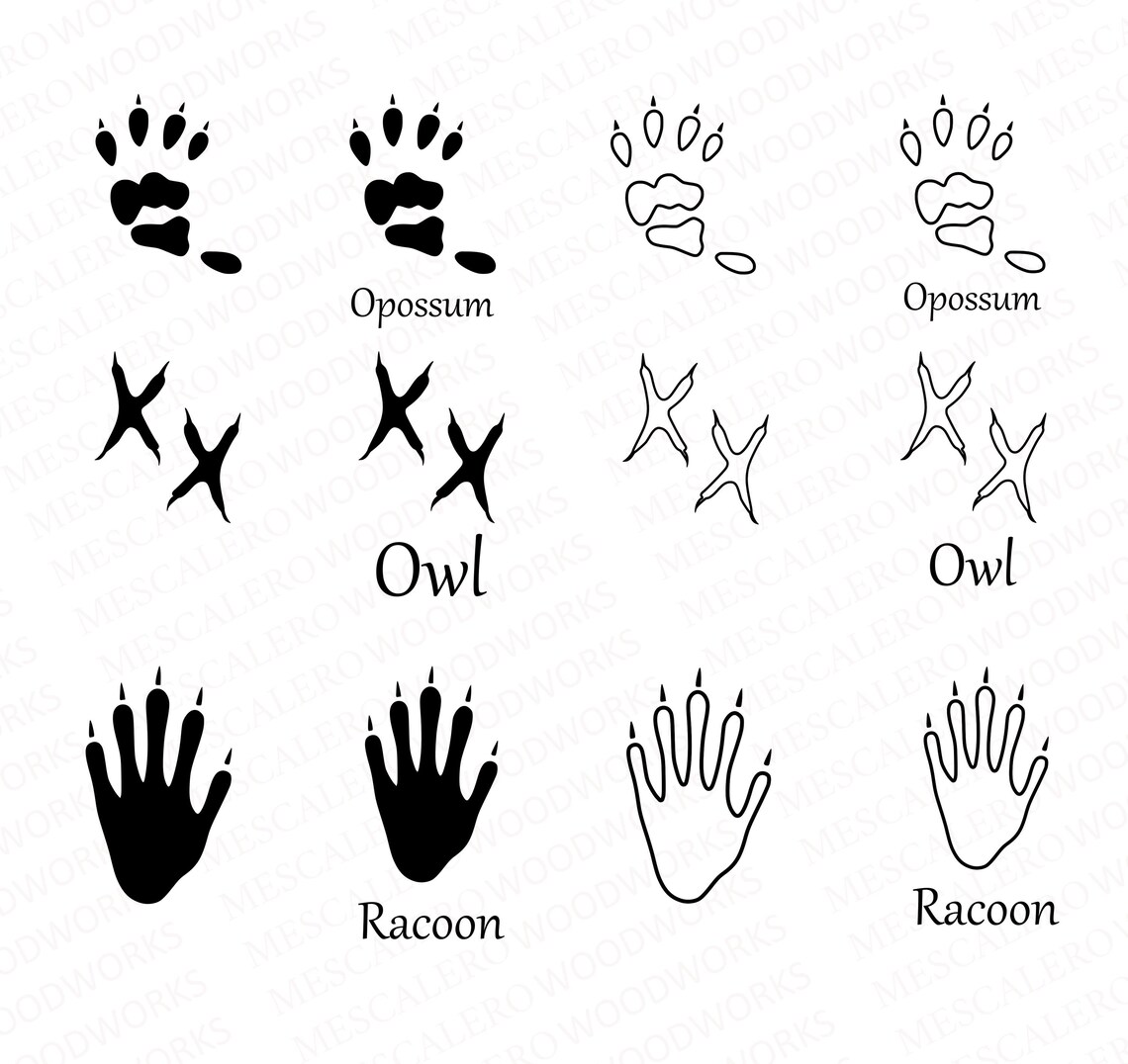 Animal Track SVG and PNG Bundle | Tracks, Paws | Outline | Silhouette ...