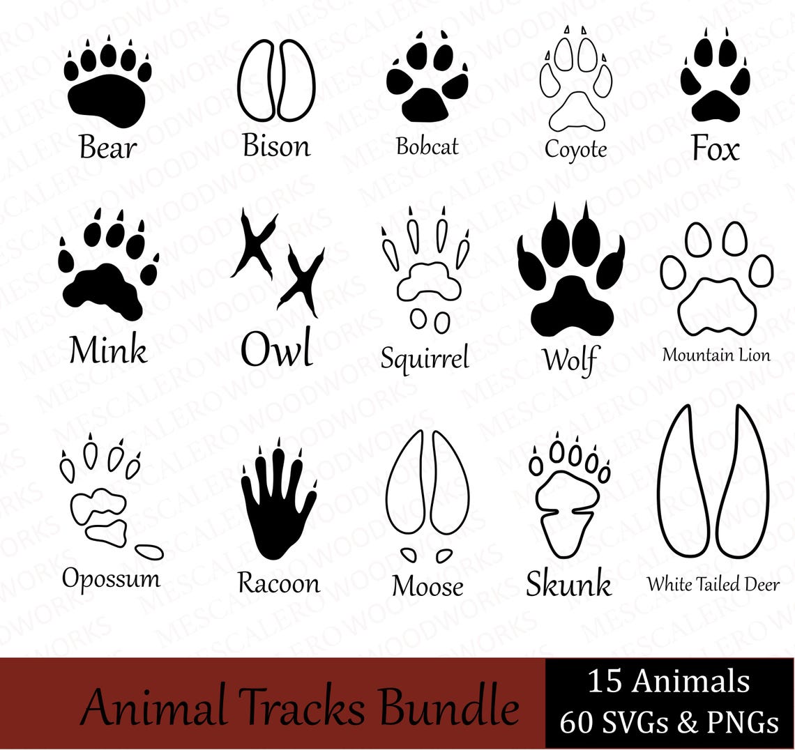 Animal Track SVG and PNG Bundle | Tracks, Paws | Outline | Silhouette ...