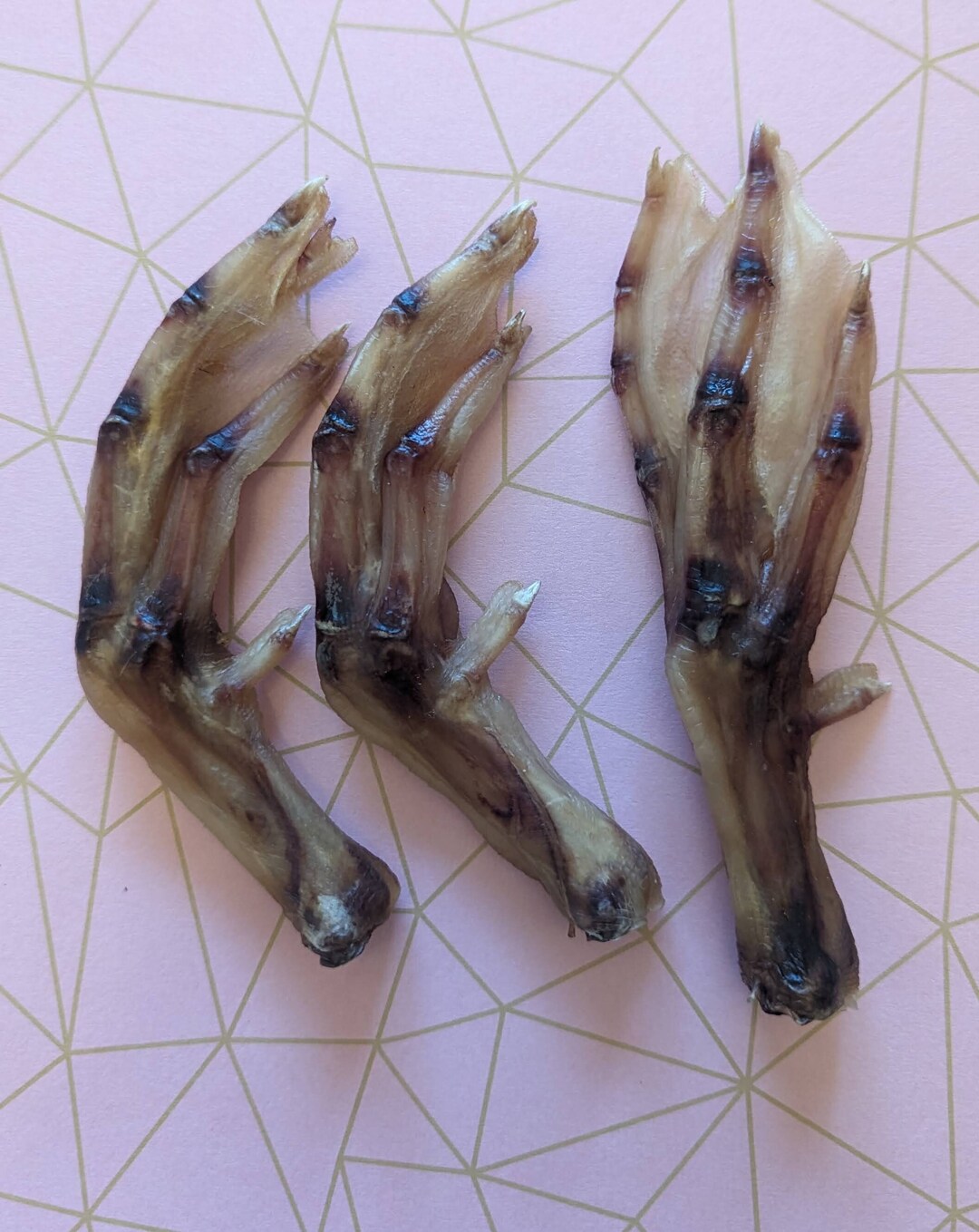 Lilow Farms Dehydrated Duck Feet Dog Treats A Local Canine Delicacy ...