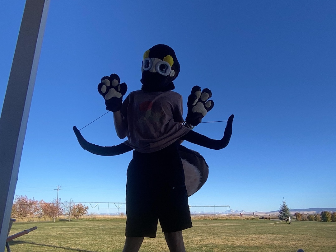 Spider Fursuit Partial for 10-14 - Etsy