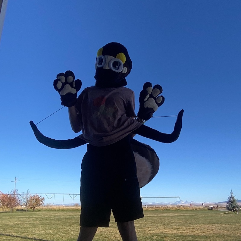 Moth Fursuit - Etsy