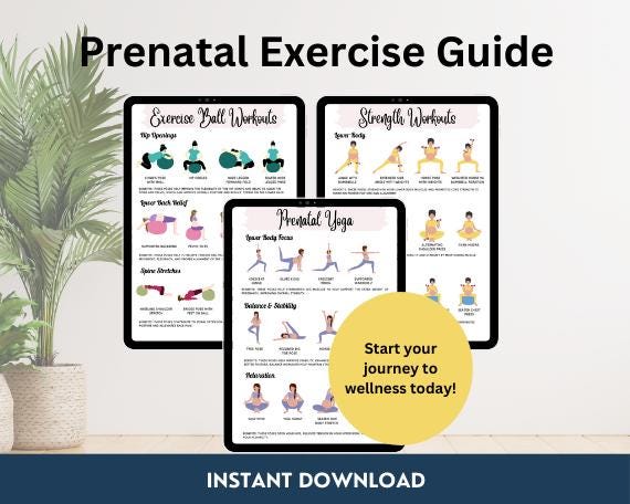 Pregnancy Exercise Guide, Postpartum Workout Guide, Pregnancy Birth ...