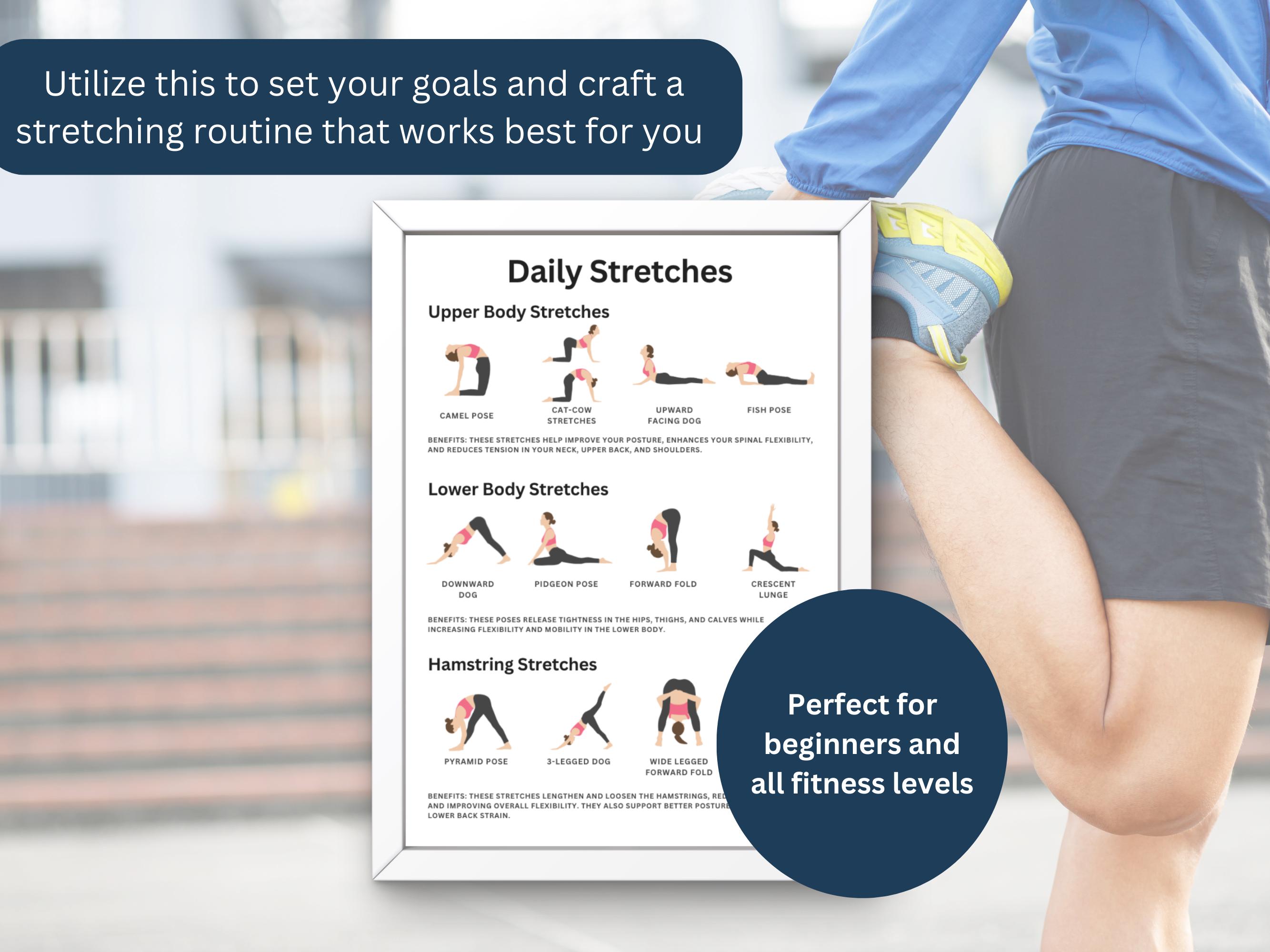 Daily Stretch Routine, Morning Stretches, Stretching Challenge ...