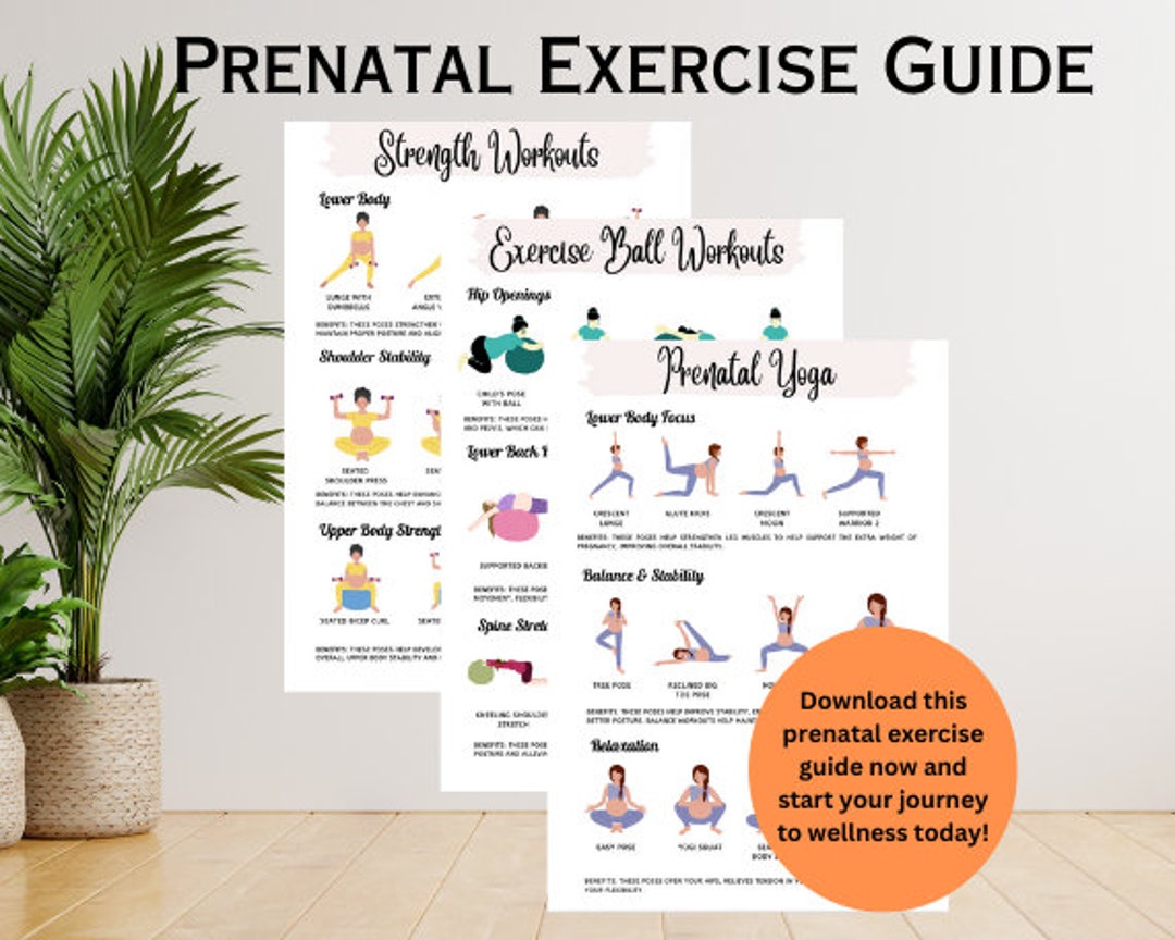 Pregnancy Exercise Guide, Postpartum Workout Guide, Pregnancy Birth ...