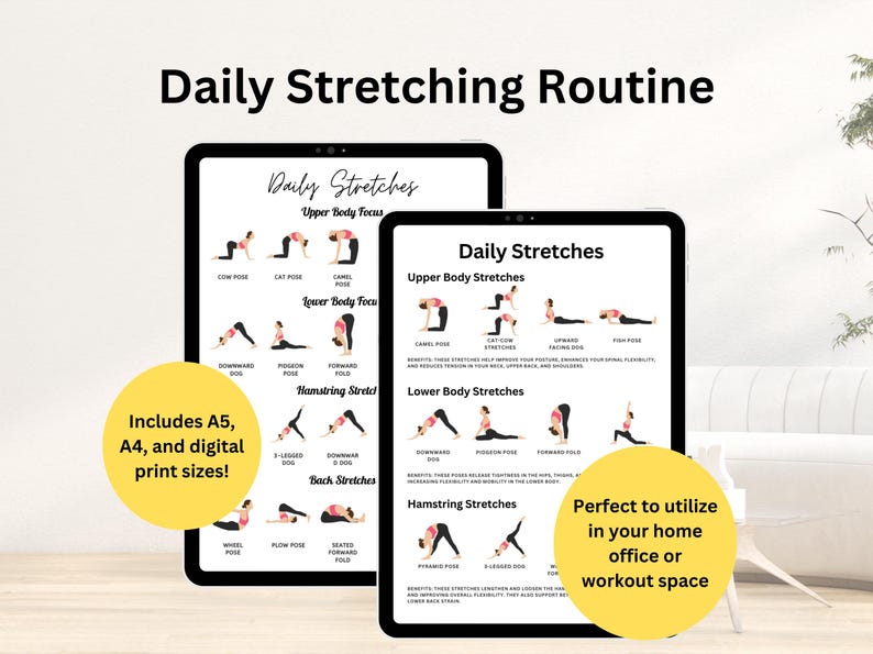 Daily Stretch Routine, Morning Stretches, Stretching Challenge ...