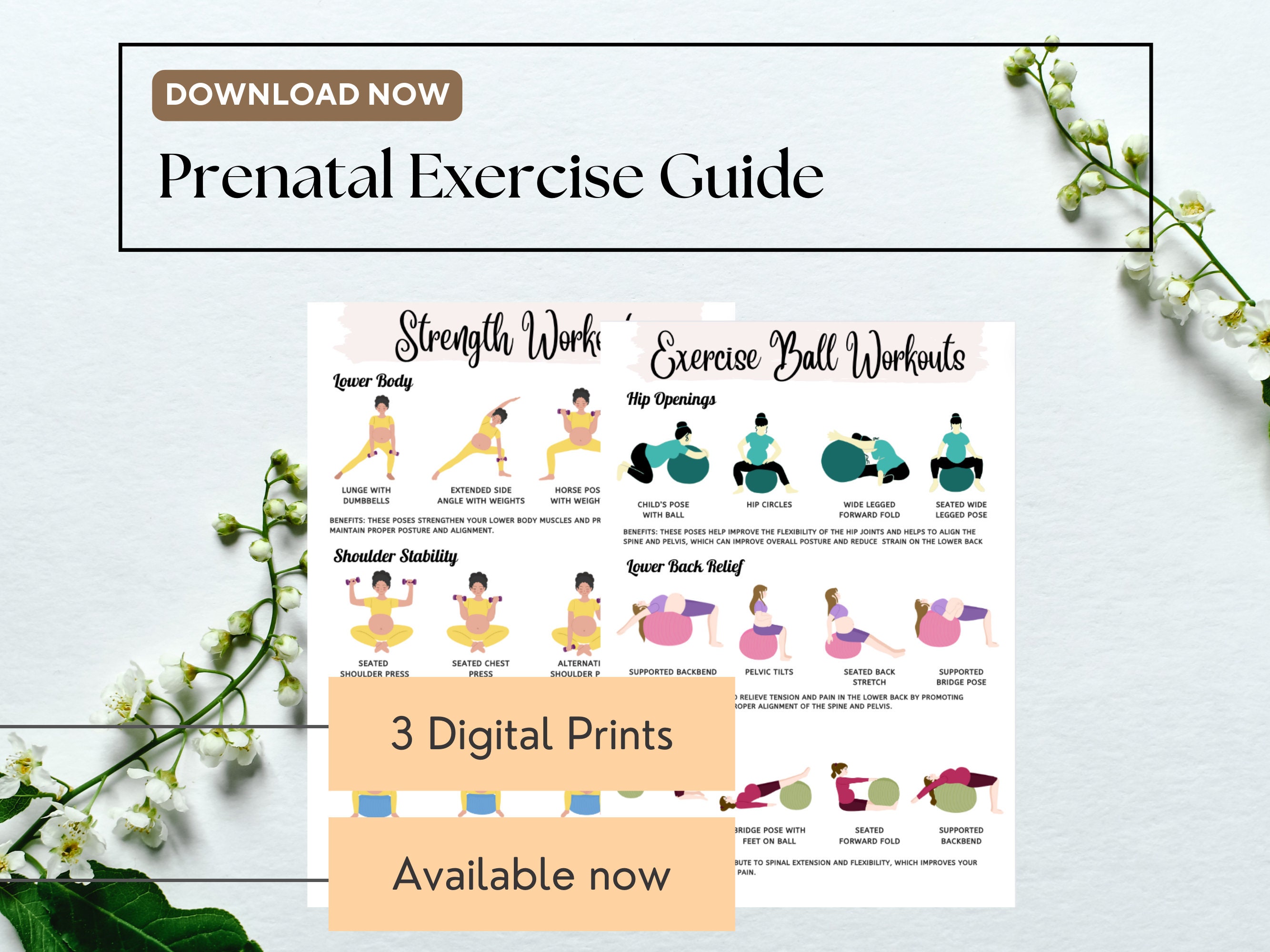 Pregnancy Exercise Guide, Postpartum Workout Guide, Pregnancy Birth ...