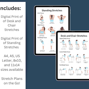 Exercise Plan Chair Office Workers Printable, Desk Stretch, Desk Yoga ...