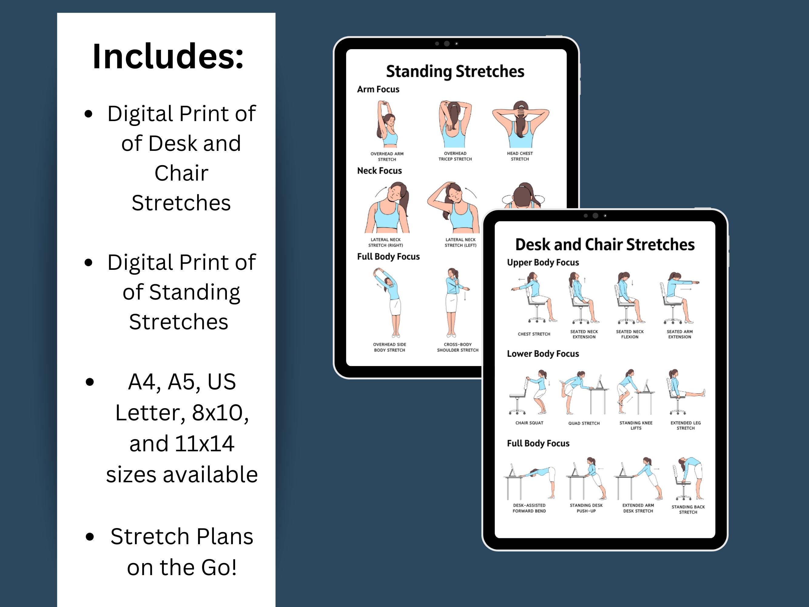 Exercise Plan Chair Office Workers Printable, Desk Stretch, Desk Yoga ...