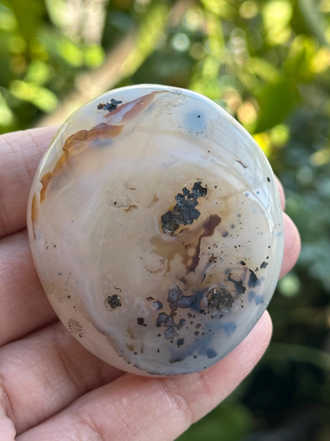 Beautiful Dendritic Agate Palm Stone - Etsy