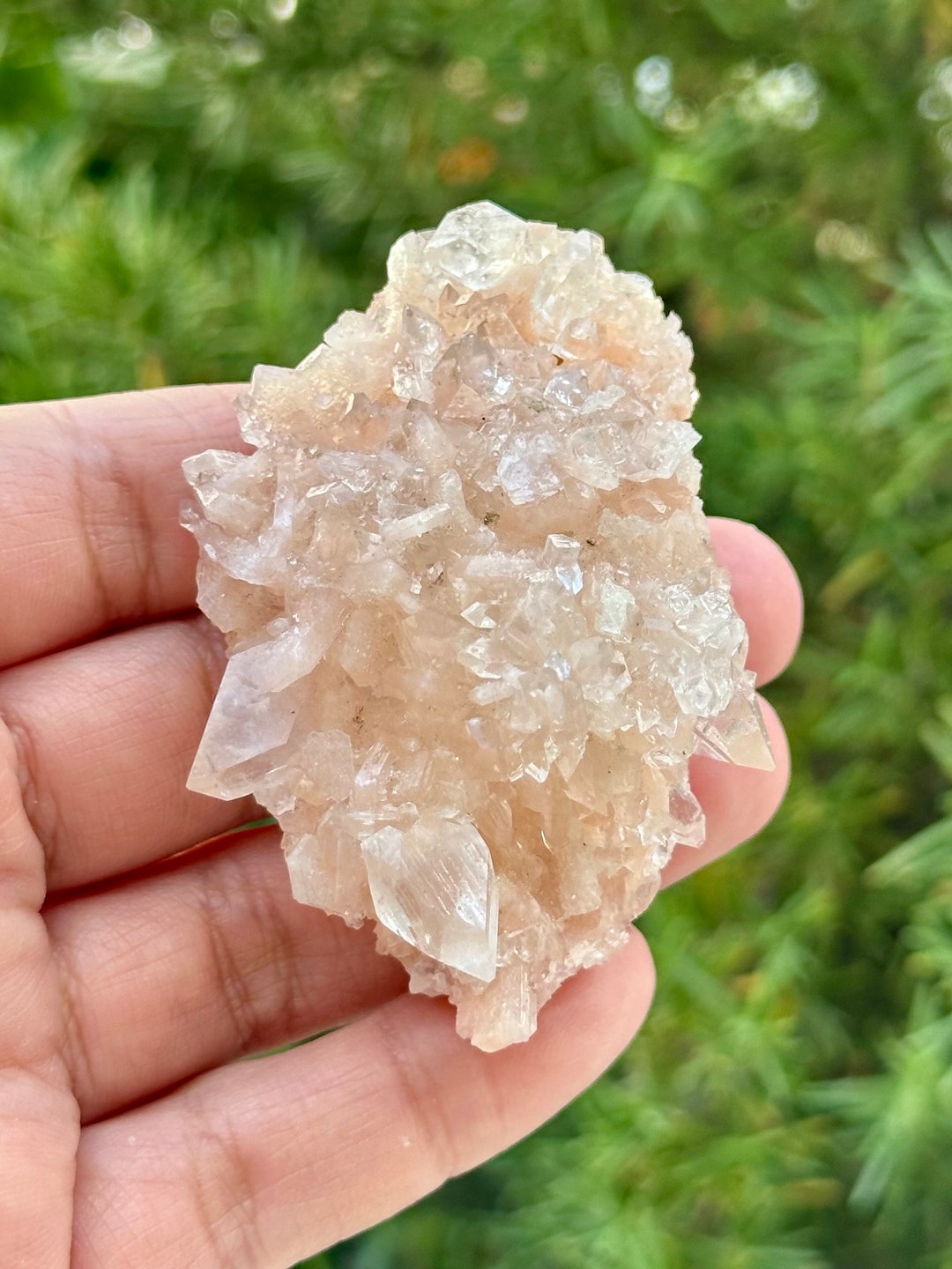 Stunning Apophyllite With Stilbite Specimen From India - Etsy