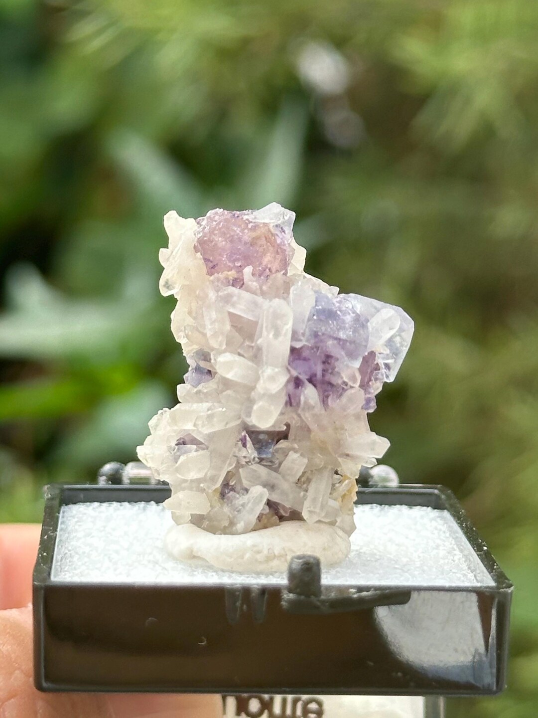 Beautiful Fluorite With Quartz Specimen From the Yindu Mine - Etsy