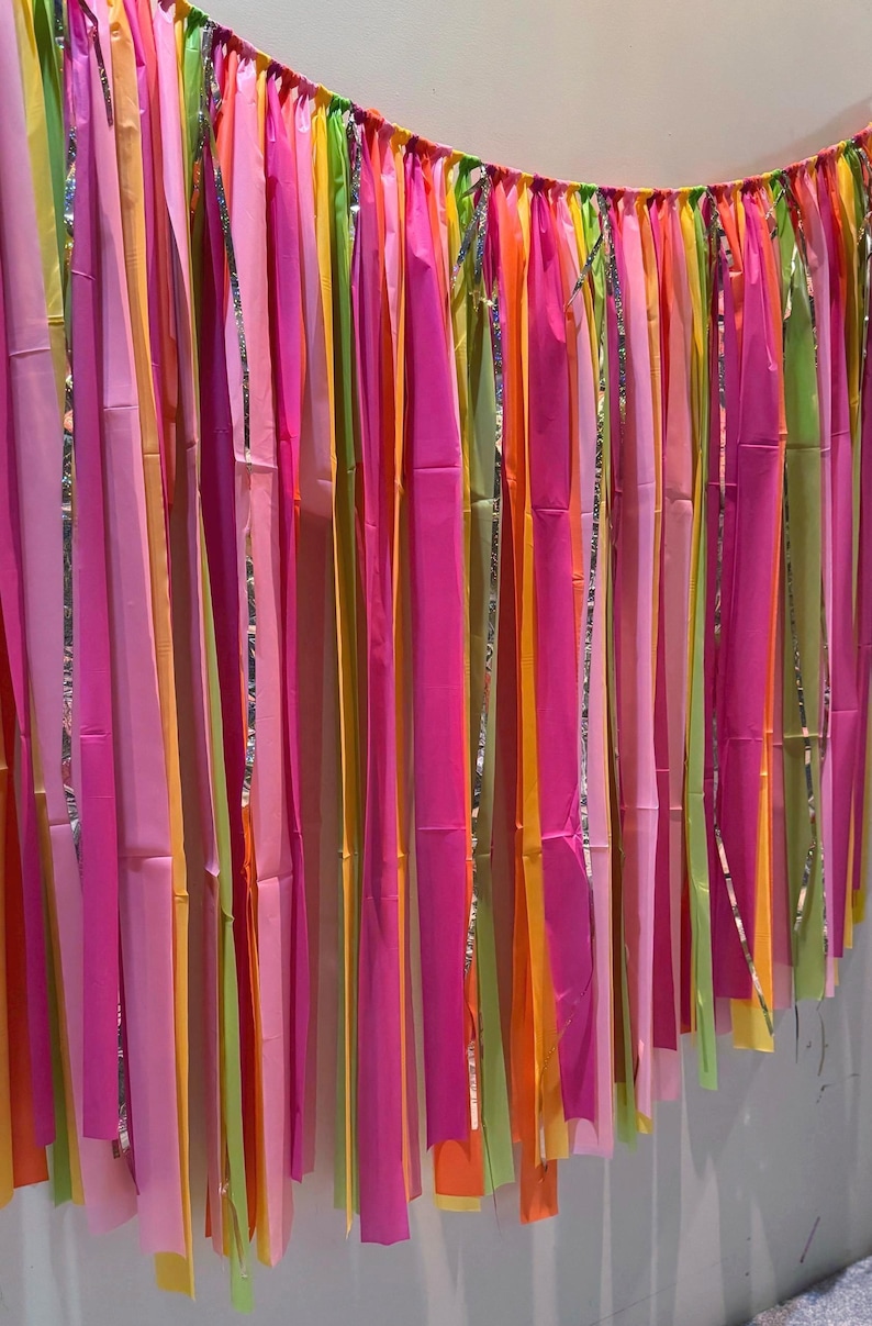 FRUITY FIESTA Fringe Banner / Backdrop | Spicy Margarita Babe | Tequila ...