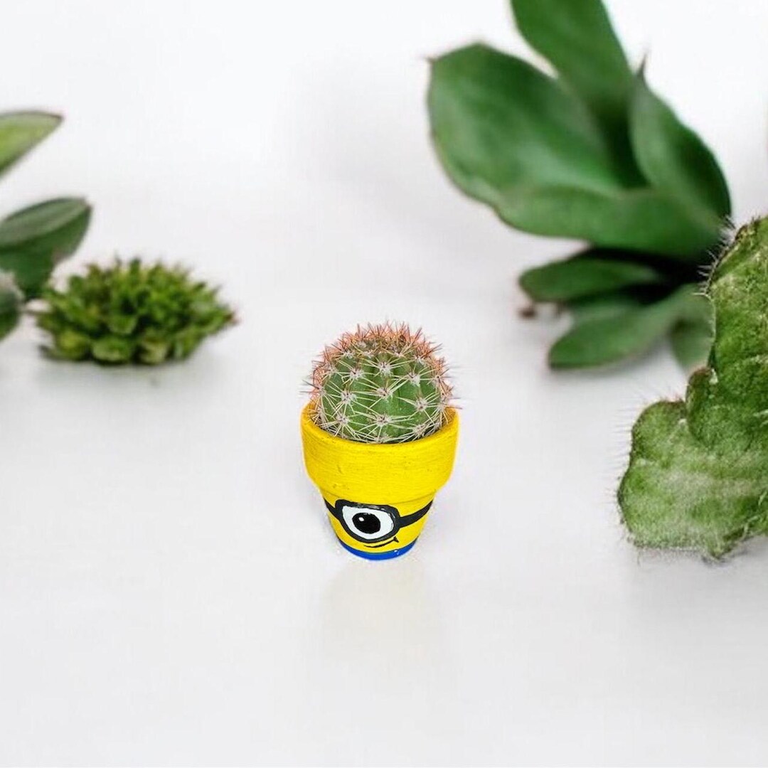 Miniature Cactus - DIY Cactus Kits, Live Plant,micro(hand Painted ...