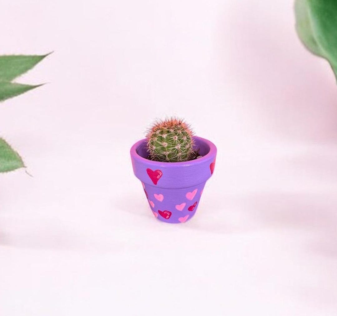 Miniature Cactus DIY Cactus Kits, Live Plant,microhand Painted Purple ...