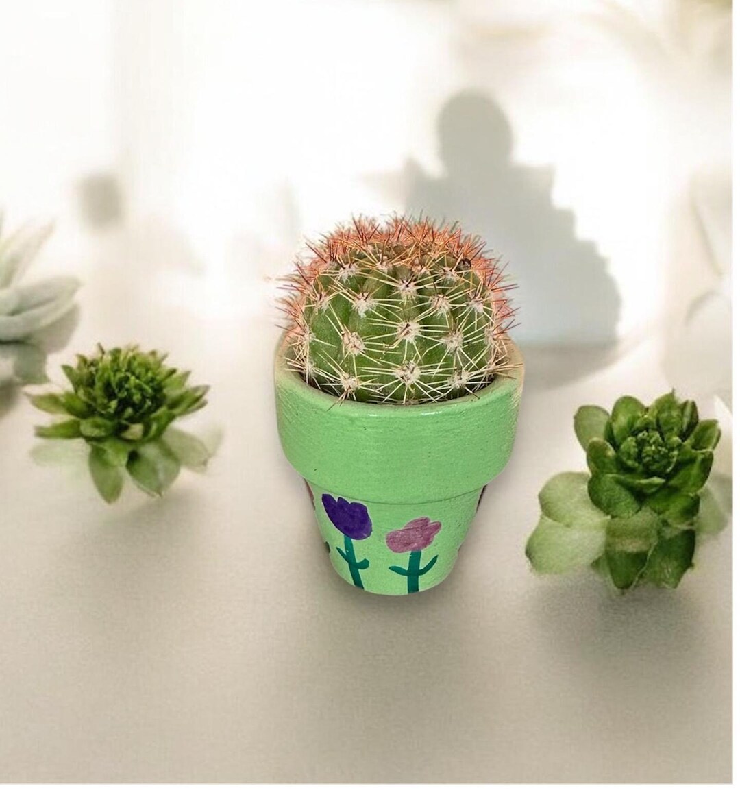 Miniature Cactus - DIY Cactus Kits, Live Plant,micro(hand Painted Green ...