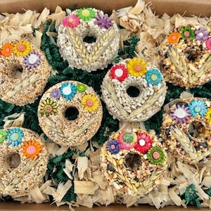 Variety Pack - 8 Hanging Birdseed Ornaments - EDIBLE Flowers & Wheat ...