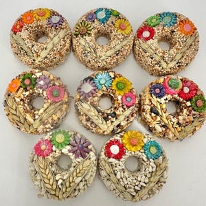 Variety Pack - 8 Hanging Birdseed Ornaments - EDIBLE Flowers & Wheat ...