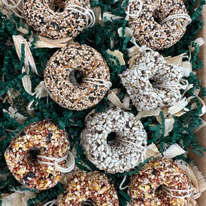 EIGHT PLAIN Hanging BIRDSEED Ornaments/wreaths - Free Shipping! - Etsy