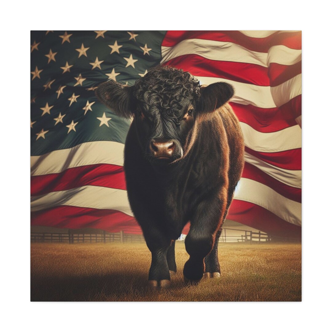 Black Angus Canvas Gallery Wrap, Bull Cow Black Angus Cattle Wall Art ...